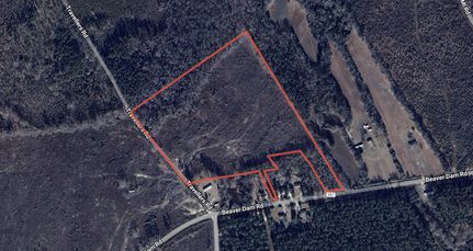 Hunting Land for Sale in Lee County, SC, Lee County, SC Hunting Land ...