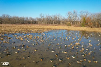 Hunting Land for Sale in Crawford County, KS, Crawford County, KS ...