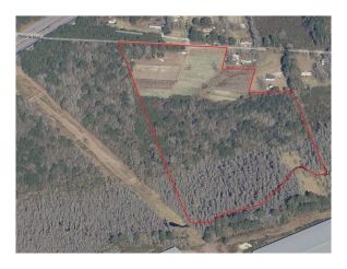 257 Monteith Road, Port Wentworth, GA 31407 | Land and Farm