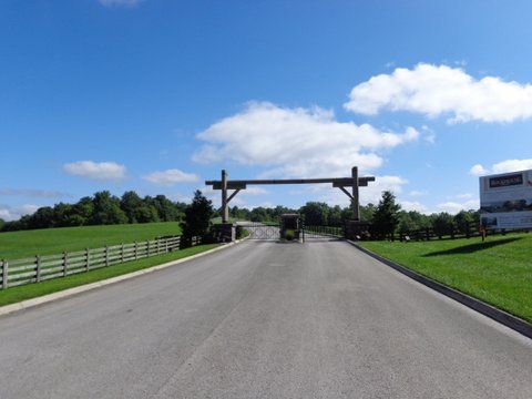 Hwy. 297, Jamestown, TN 38556 | Land and Farm