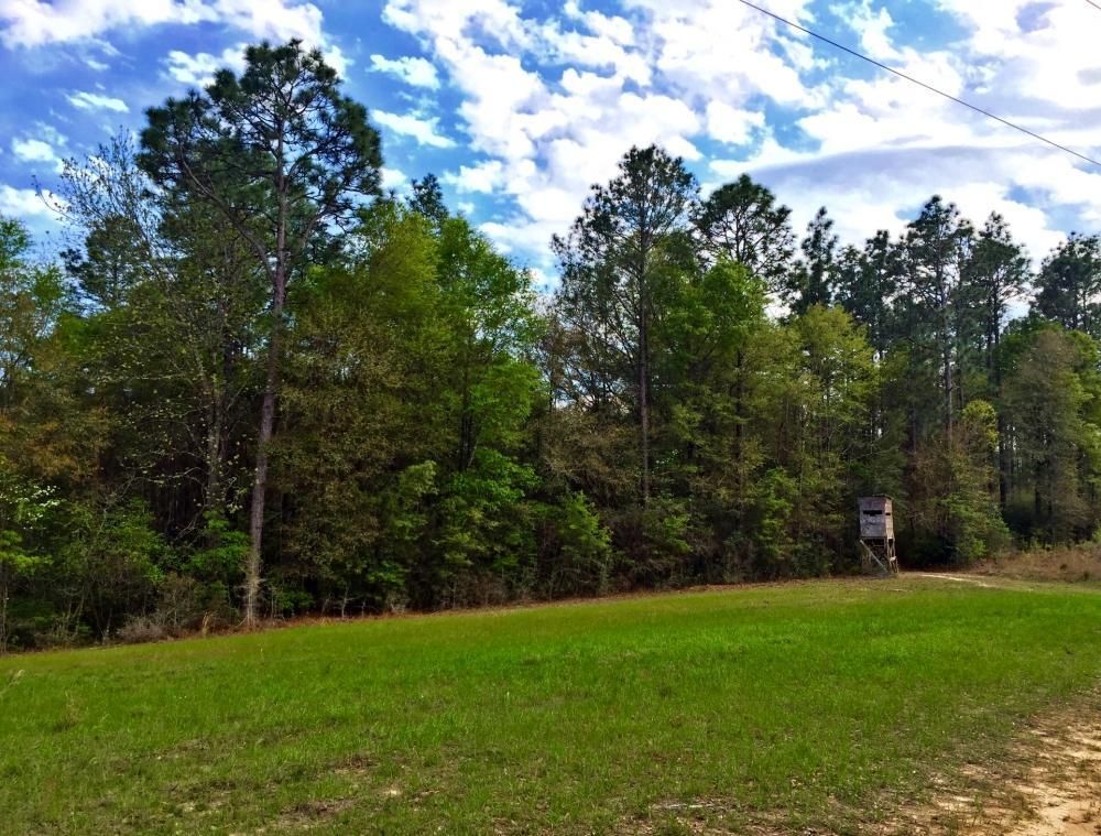 0 Arden Road, Chunchula, AL 36521 | Land and Farm