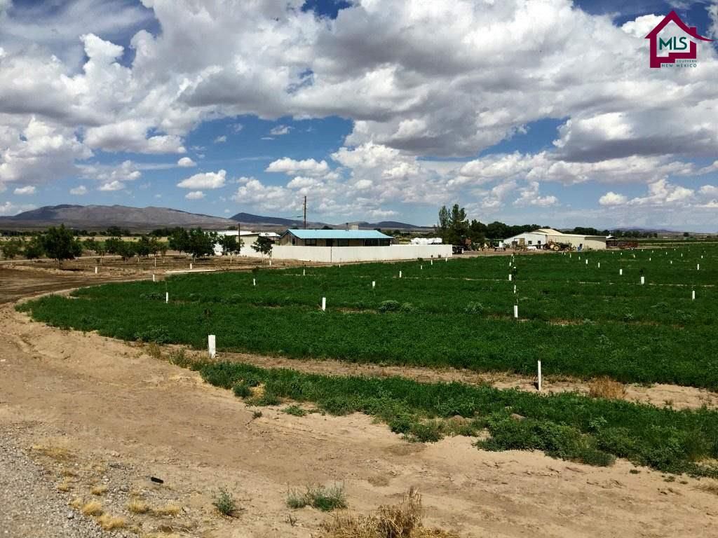 51 Acres, 1410 TED BROWN ROAD, Salem, NM 87941 | Land and Farm
