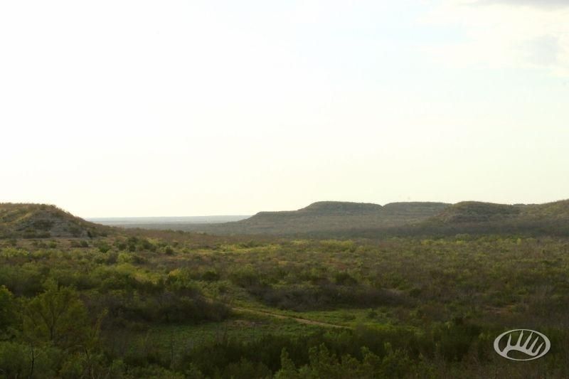 3,500 Acres, 1835 Road, Aspermont, TX 79502 | Land and Farm