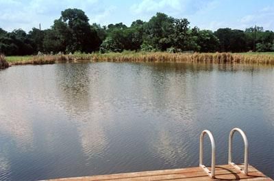 , Smiley, TX | Land and Farm