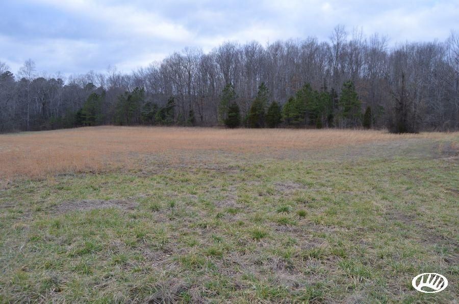 Highway 49, Tennessee Ridge, TN 37178 | Land and Farm