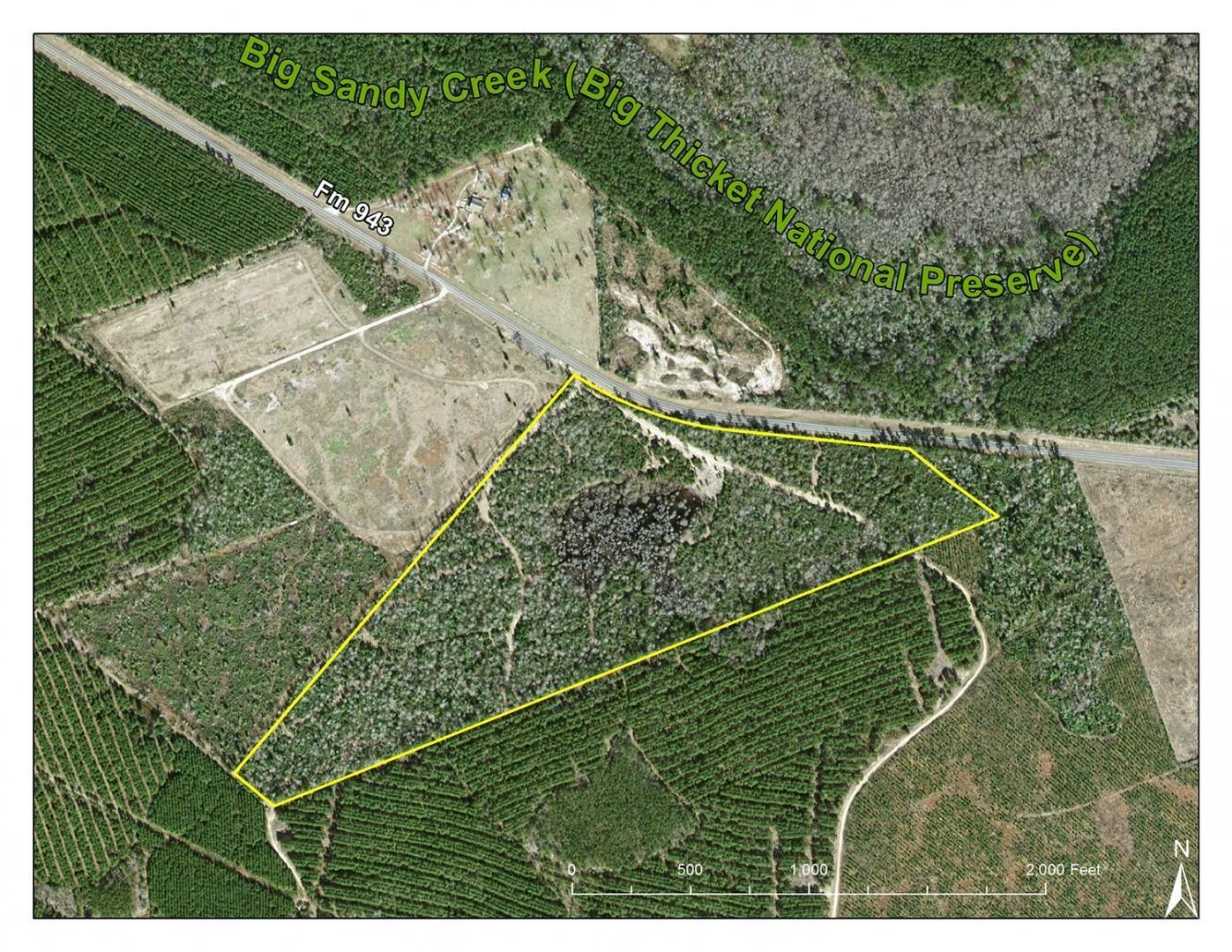 FM 943, Segno, TX 77351 | Land and Farm