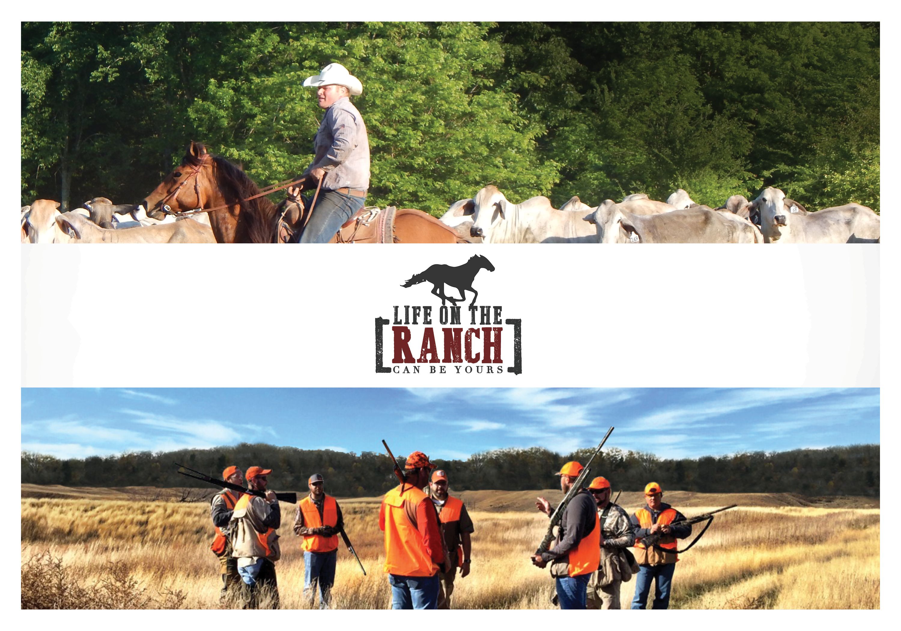 6,000 Acres, 0 County Road4630, Avery, TX 75554 | Land and Farm