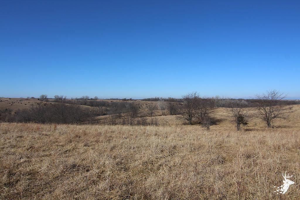 0 40t Rd, Wetmore, KS 66550 | Land and Farm