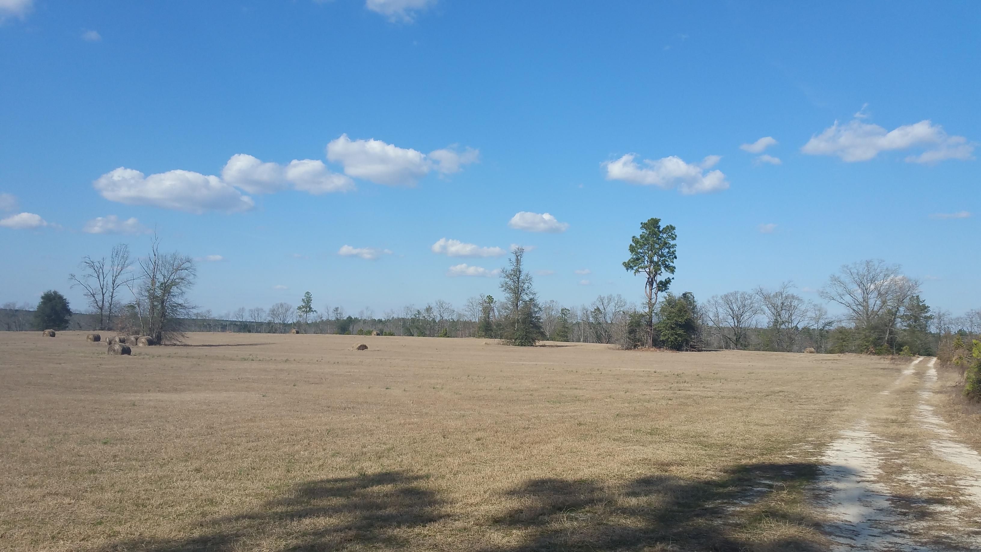200 Acres, Salley Road, Wagener, SC 29164 | Land and Farm