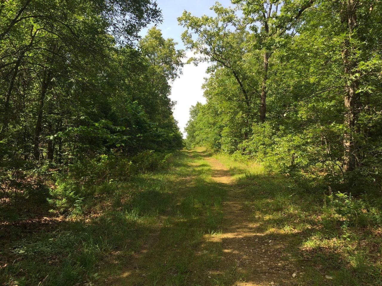Blake Road, Lenox, MO 65541 | Land and Farm