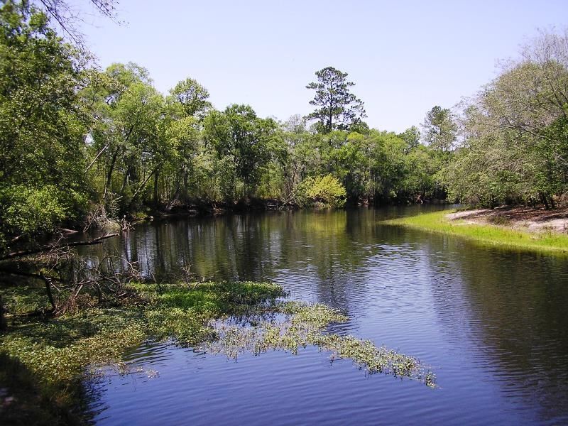 0 Raybon Road, Nahunta, GA 31553 | Land and Farm