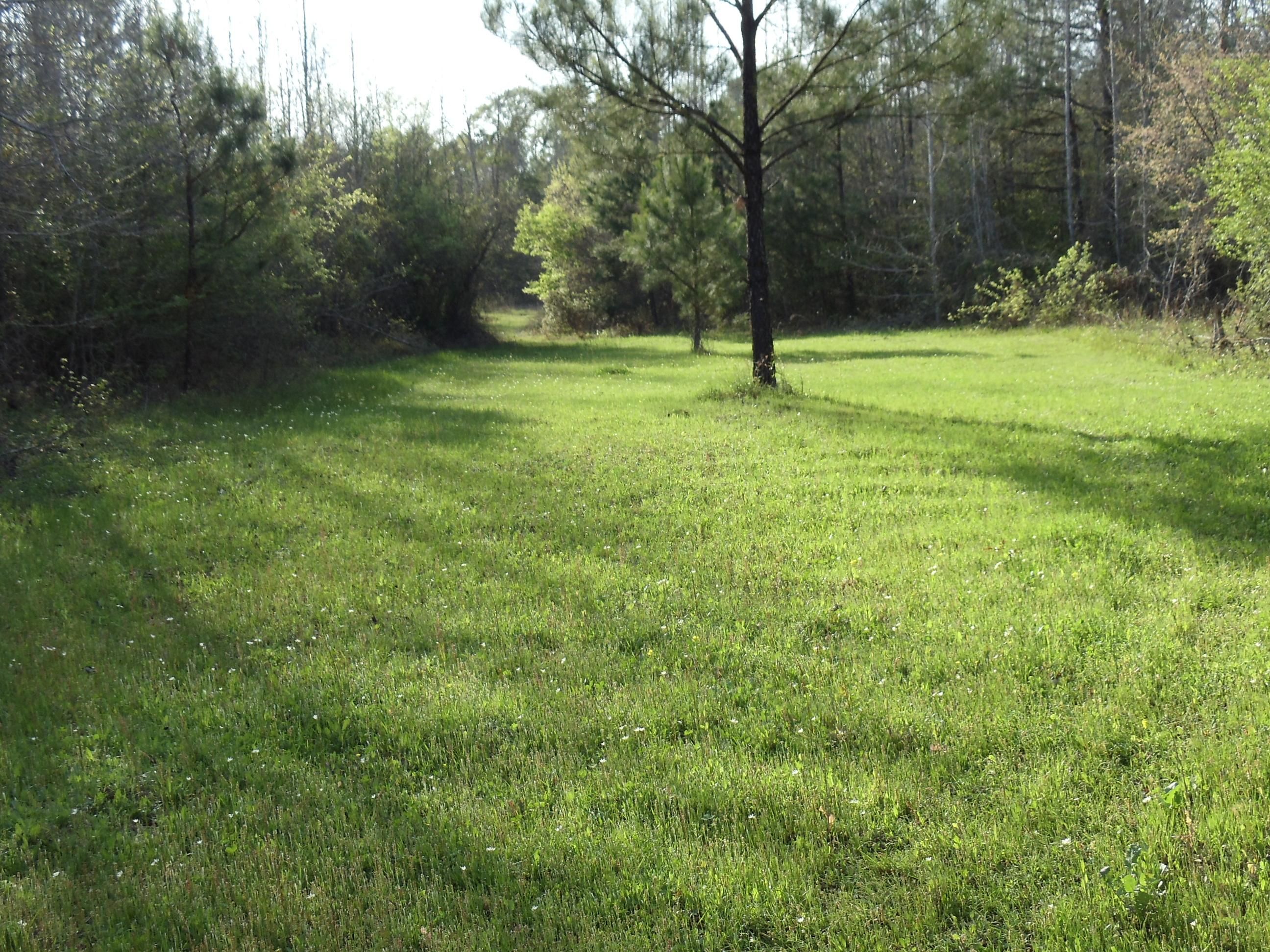 South Bethlehem Rd., Rutledge, AL 36071 | Land and Farm