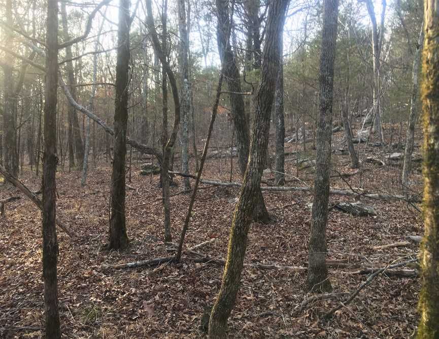53 acres in Garth, AL, 35764 | Land and Farm