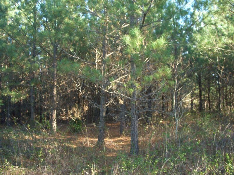 115 acres in Enoree, SC, 29335 | Land and Farm