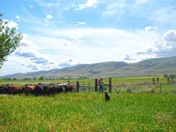 3500 Island Rd, White Swan, WA 98952 | Land and Farm