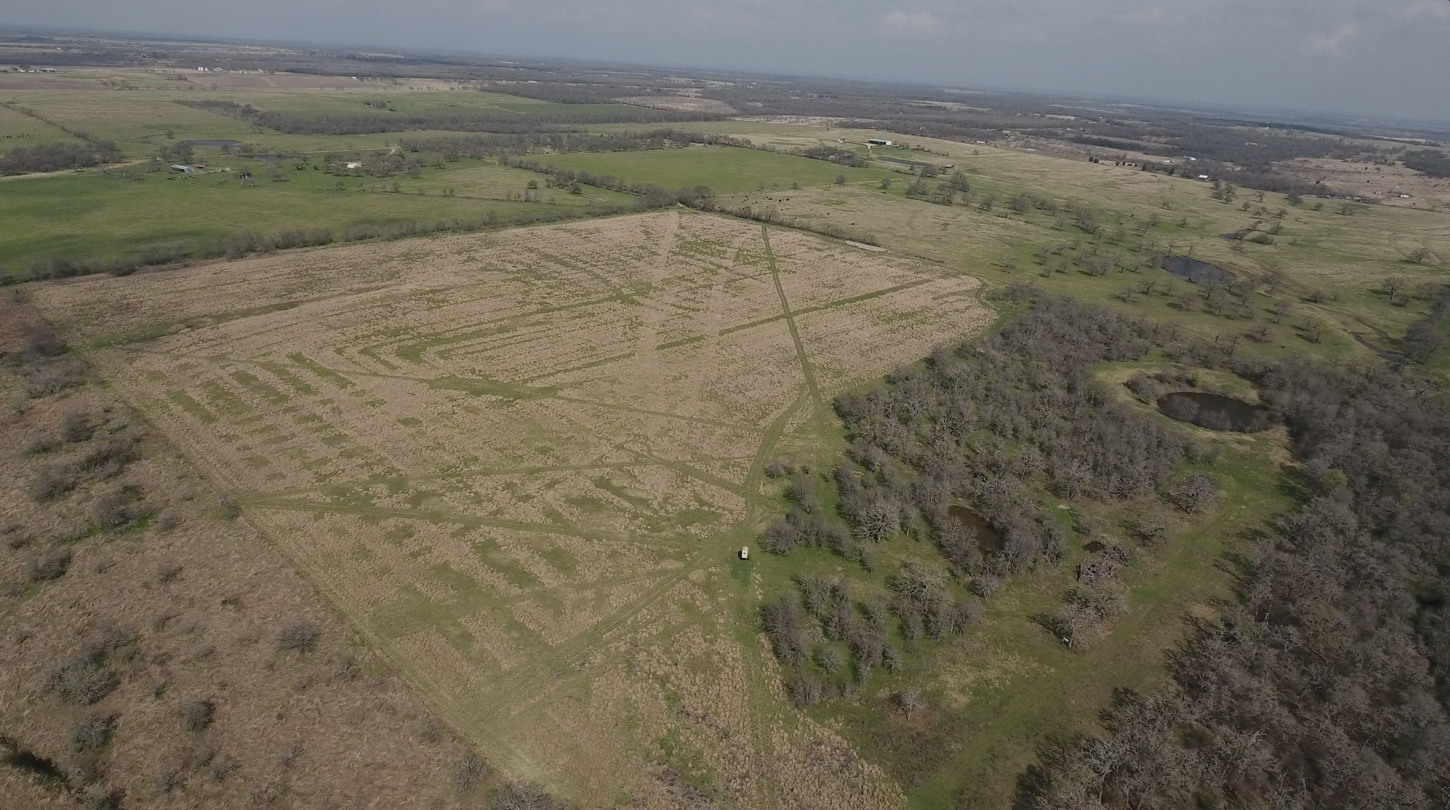 48.55 acres in Sharp, TX, 76577 | Land and Farm