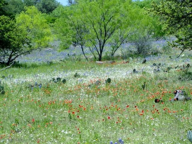 301 acres in Voca, TX, 76887 | Land and Farm