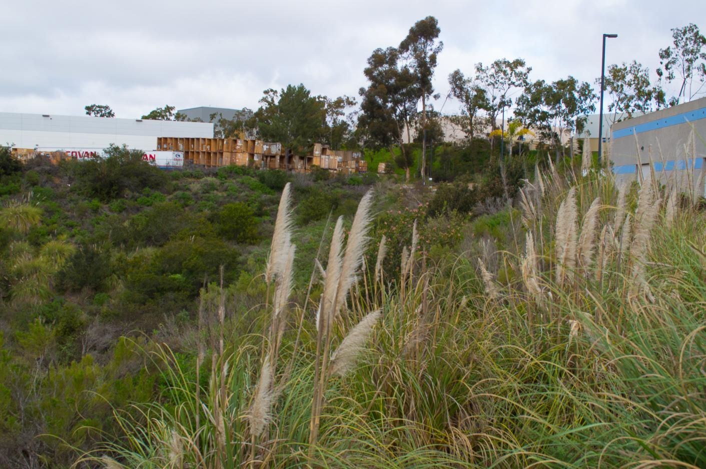 Mesa Rim Rd, San Diego, CA 92121 | Land and Farm