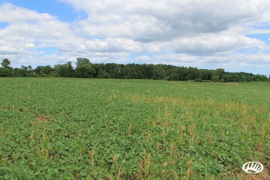 Harpt Lake Road, Mishicot, WI 54228 | Land and Farm