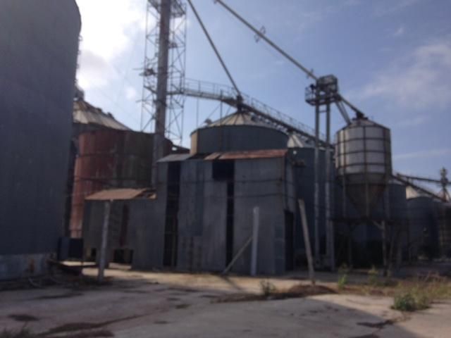 2.28 acres in Banquete, TX, 78339 | Land and Farm