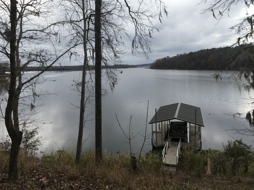 300 Legacy Estate Drive, Alberta, AL 36720 | Land and Farm