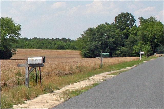 Lot 8 Brick Yard Road and Community Road, Wallace, SC 29596 | Land and Farm