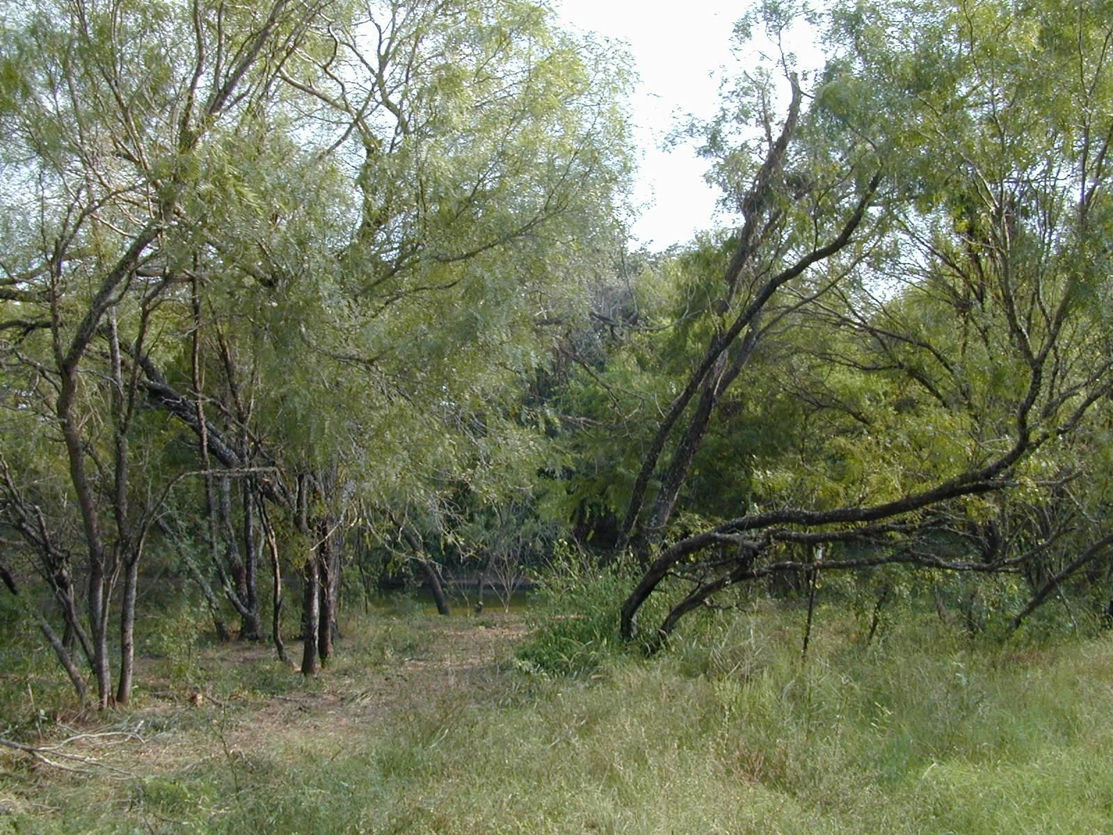 Zion Hill Road, Seguin, TX 78155 | Land and Farm