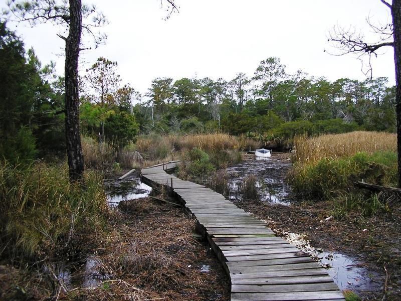 0 US 70, Stacy, NC 28581 | Land and Farm