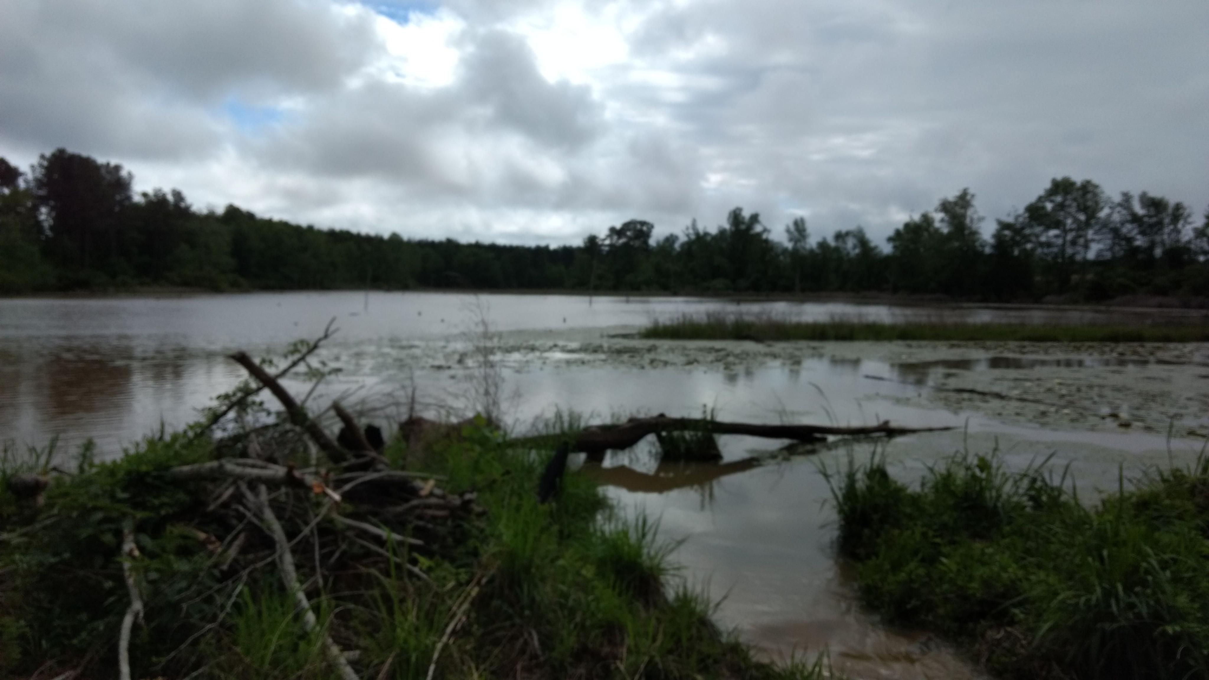 Old Sardis Road, Sardis, GA 30456 | Land and Farm