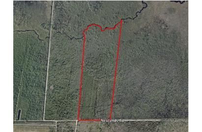 87 Acres, Off New Lands Rd, Fairfield, NC 27826 | Land and Farm