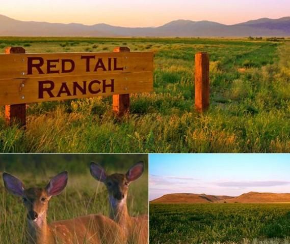 0 Fir Grove Rd/Red Tail Ln, Fairfield, ID 83327 | Land and Farm