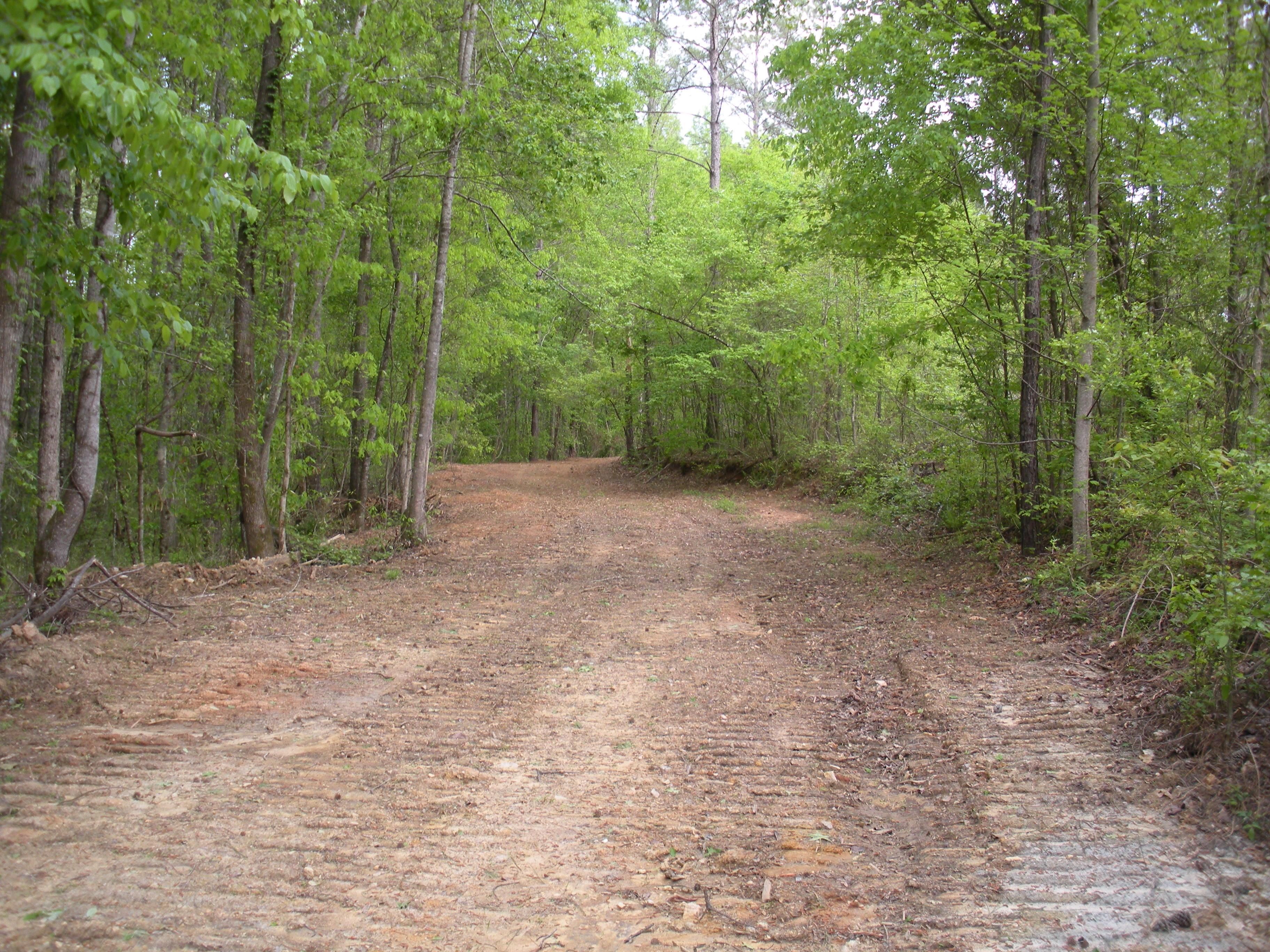 58 acres in Equality, AL, 36026 | Land and Farm