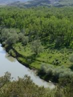 , Mosby, MT 59058 | Land and Farm