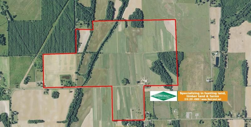 315 Acres, Hill Church Rd., Kilbourne, LA 71253 | Land and Farm