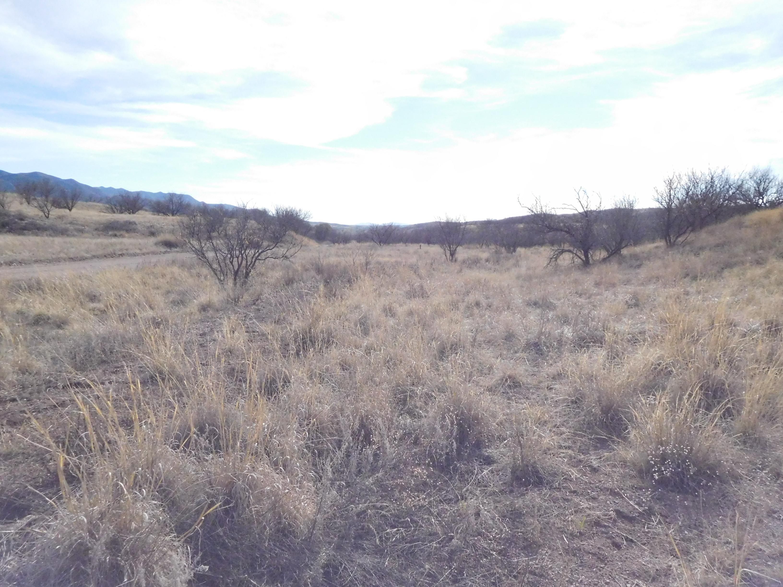 rail x ranch estates lane, Patagonia, AZ 85624 | Land and Farm