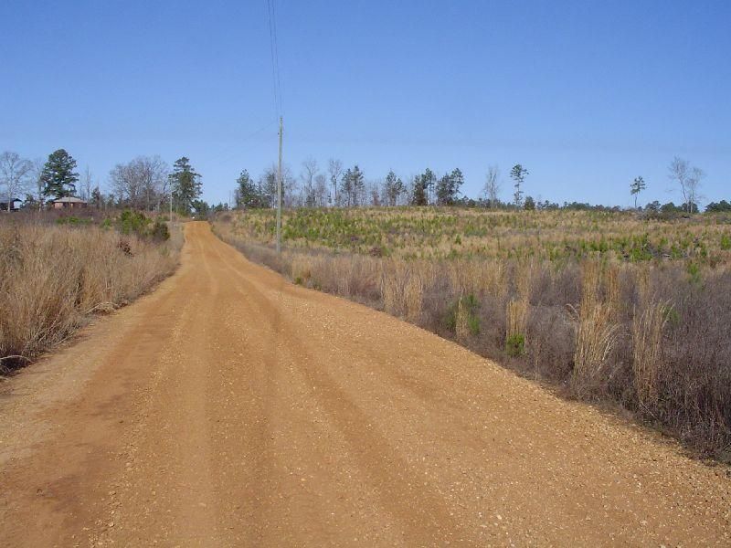 79 Acres, De Kalb, MS 39328 | Land and Farm
