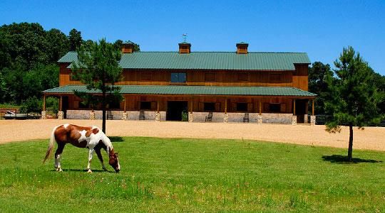 TBD FM49, Mineola, TX 75773 | Land and Farm