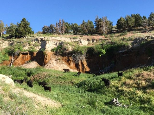 3,896 acres in Yoder, WY, 80864 | Land and Farm