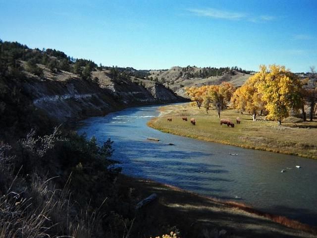 MONTANA BISON RANCH, Lewistown, MT 59451 | Land and Farm