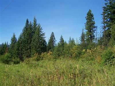 OFF BLACKBERRY LANE, Usk, WA 99180 | Land and Farm