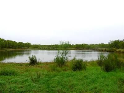 2,965 Acres, , La Pryor, TX | Land and Farm