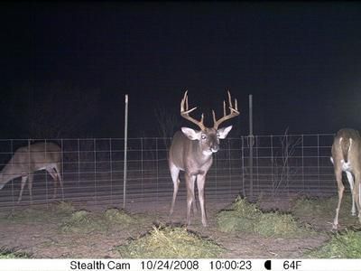 900 Acres, Freer, TX | Land and Farm