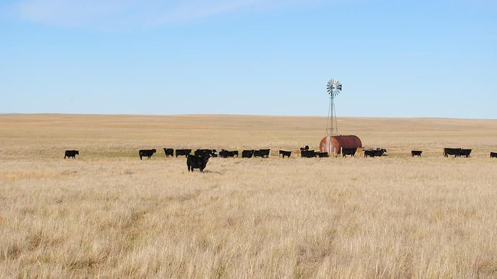4,396 acres in Lusk, WY, 82225 | Land and Farm