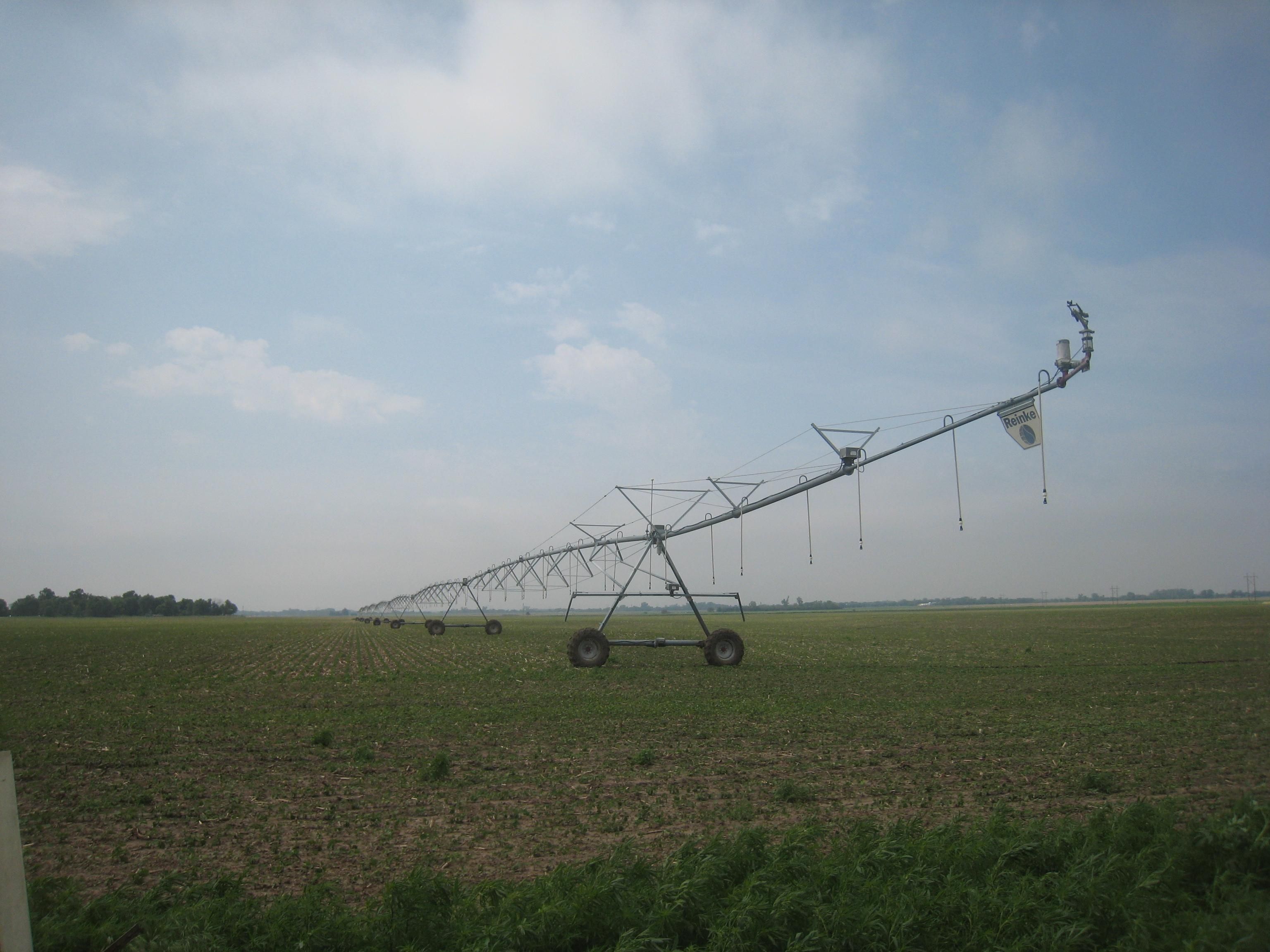 143.92 Acres, Overton, NE 68863 | Land and Farm