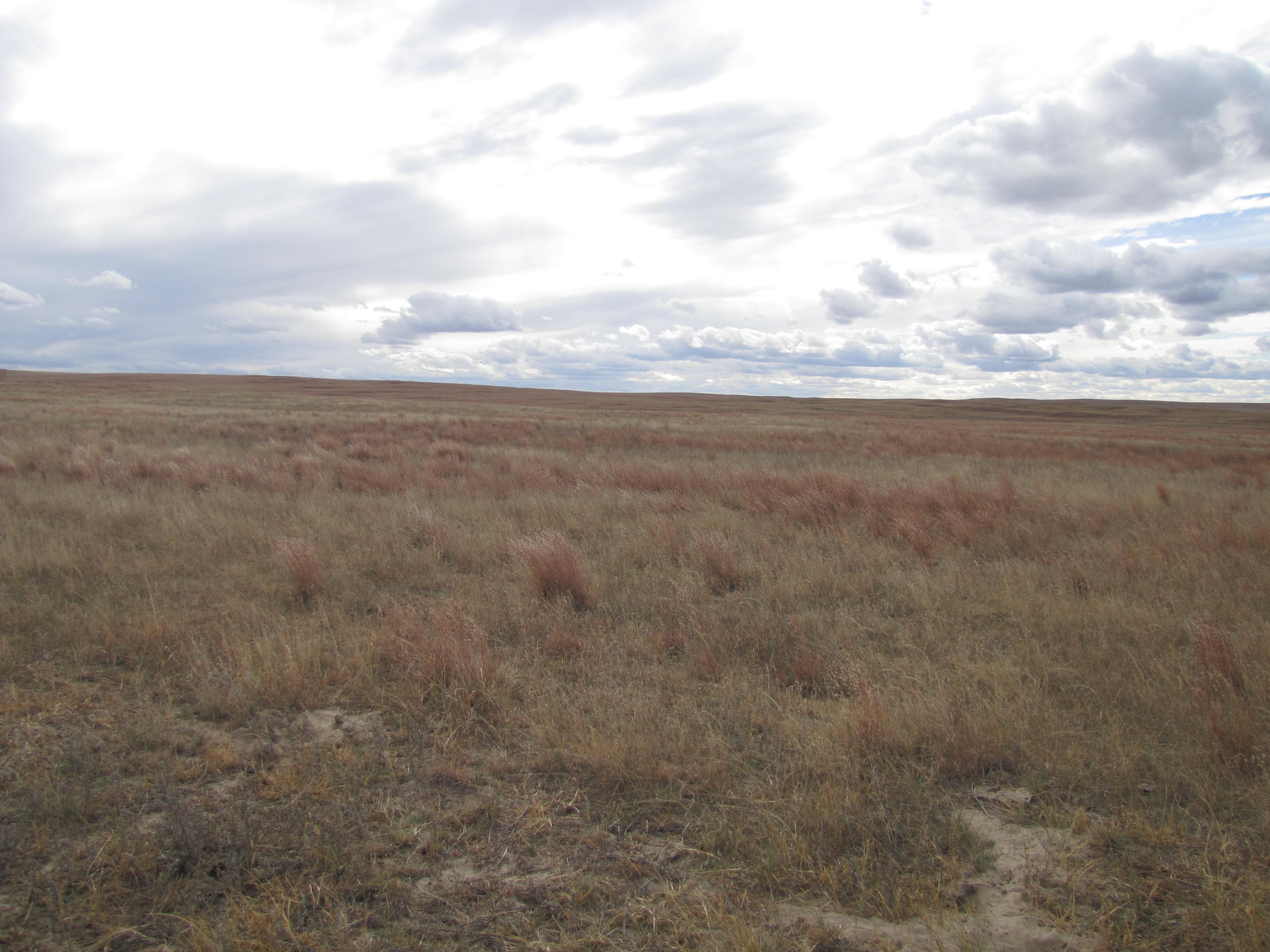 2,560 acres in Tryon, NE, 69167 | Land and Farm