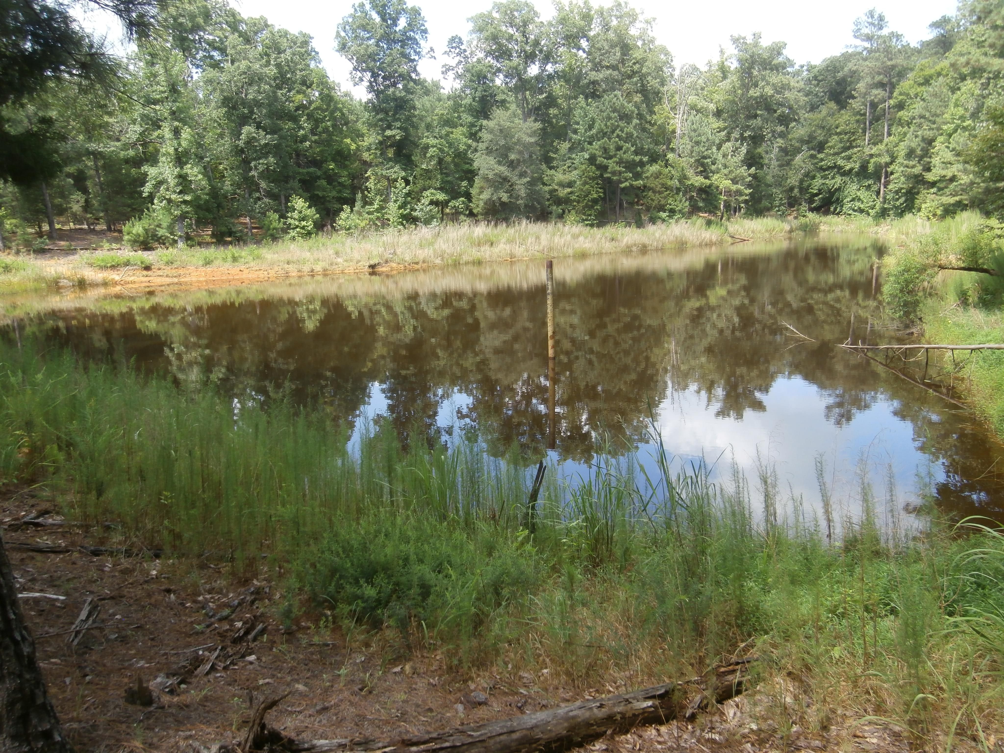 Hwy. 215, Jenkinsville, SC 29065 | Land and Farm