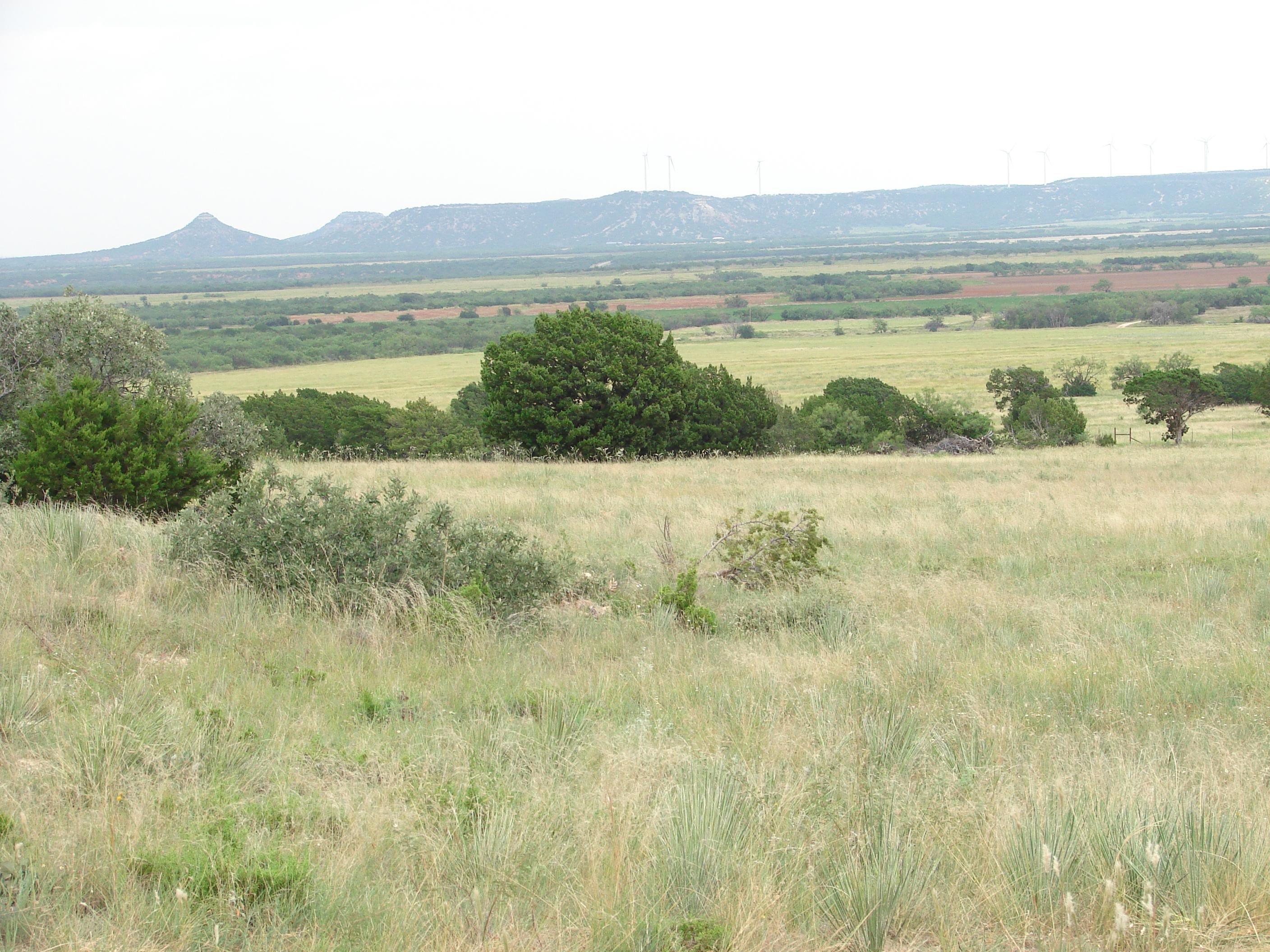 342.5 Acres, CR 351, Merkel, TX 79536 | Land and Farm