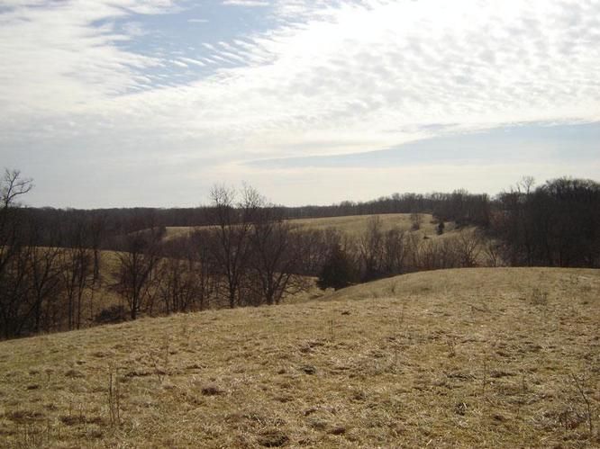 T3S, R4W, S5, Baylis, IL 62314 | Land and Farm