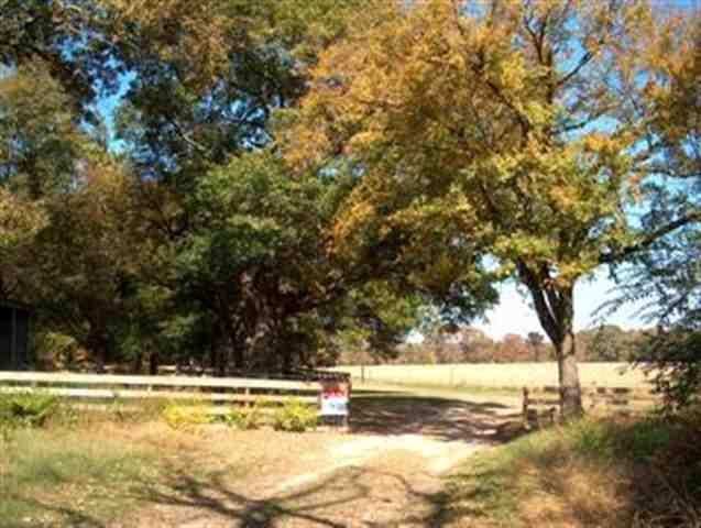 9701 CR 3514, Leesburg, TX 75451 | Land and Farm