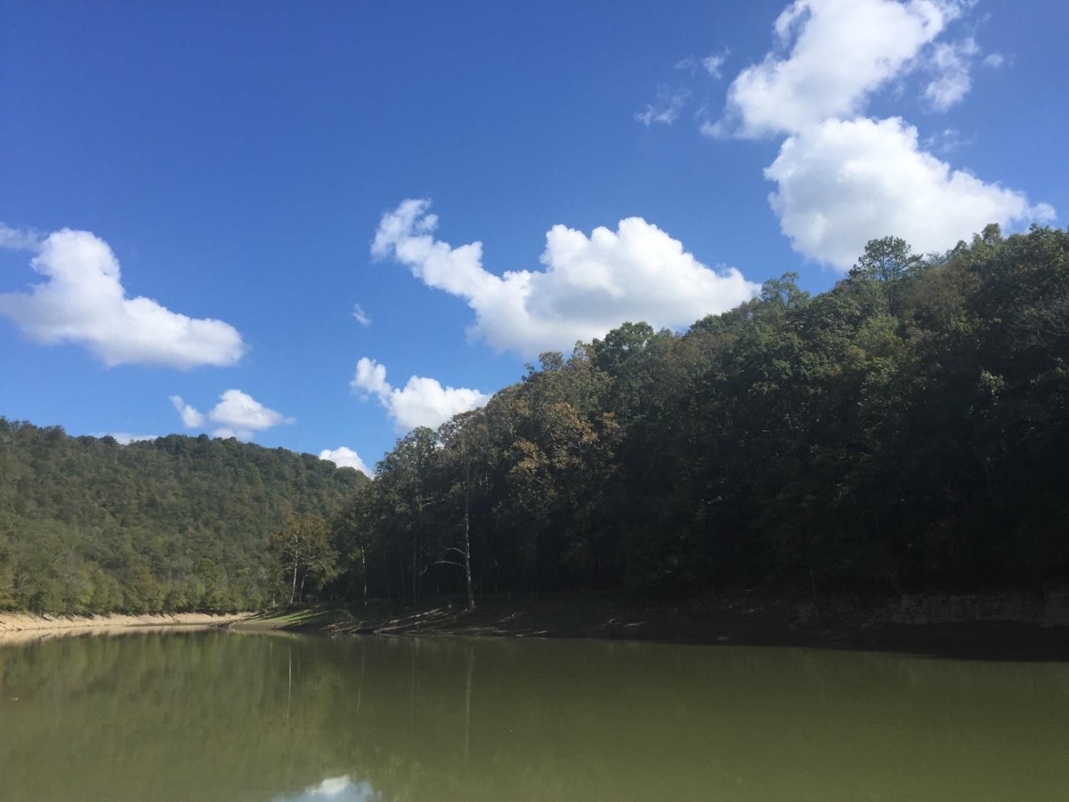 3 Acres, 121 Towncreek Drive, Speedwell, TN 37870 | Land and Farm